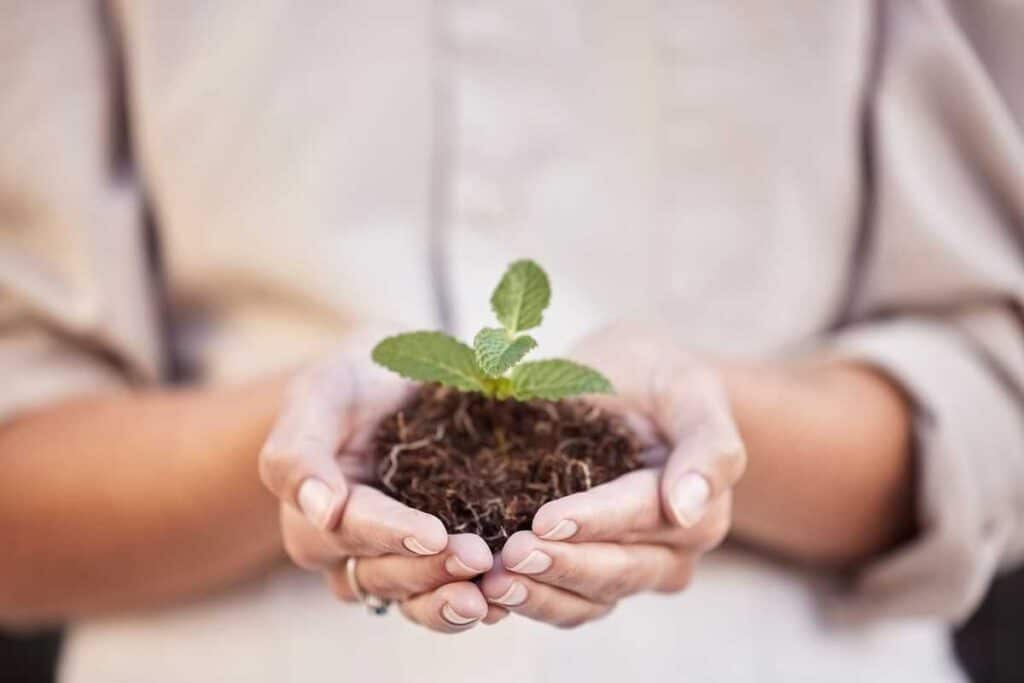 Quelle est la finalité d’une entreprise ? Du profit à la responsabilité ...